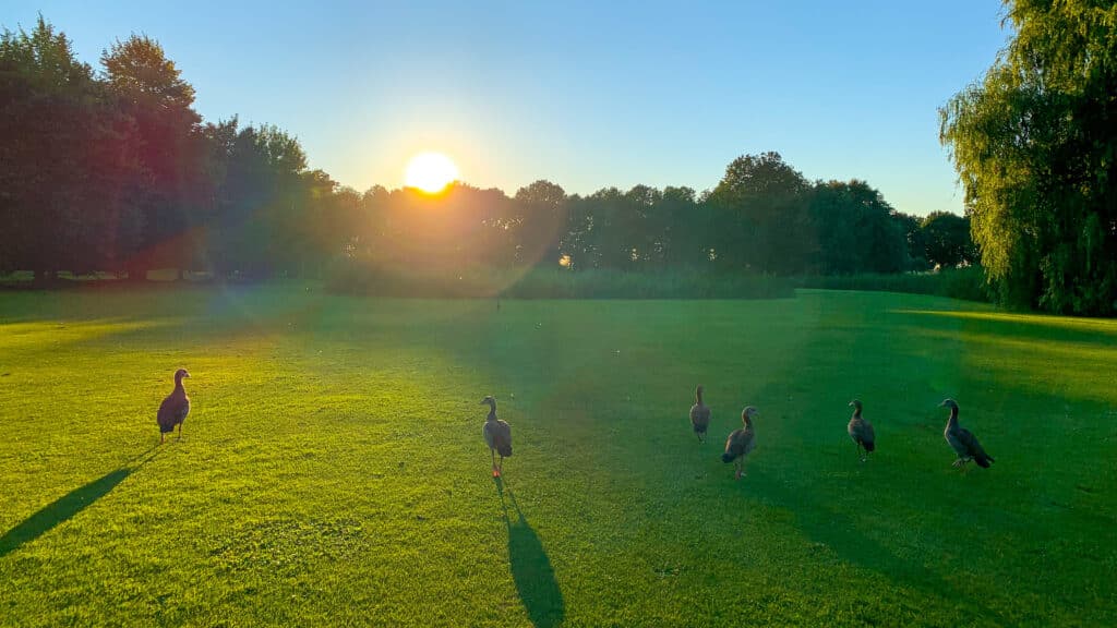 Rhoon Golfcenter - Play Golf In Holland